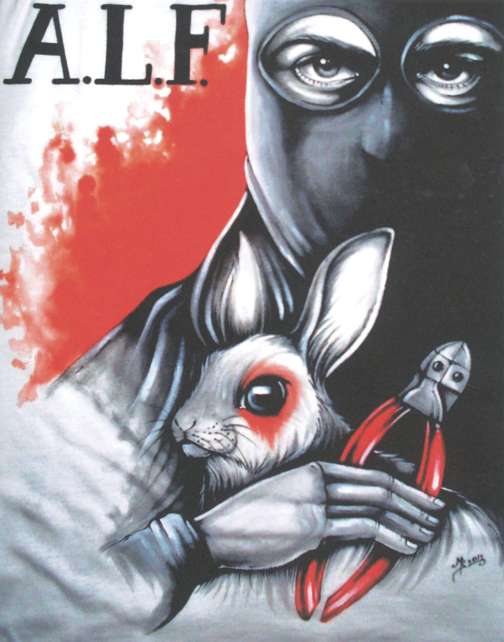 Les codes graphiques militants en mutation - Entretien avec Zvonimir ...